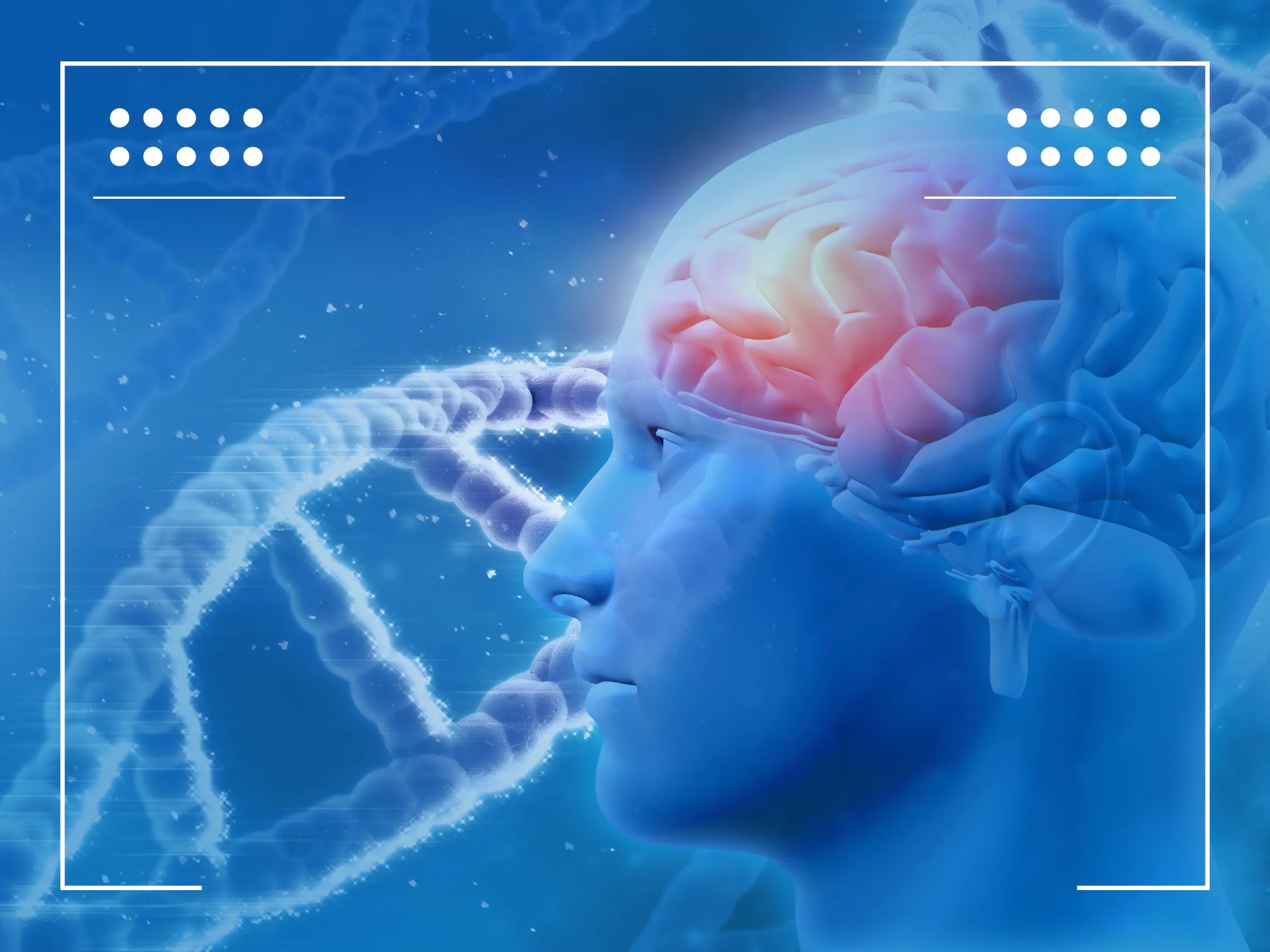 Final Stages of Brain Cancer Metastasis - Symptoms of the Last Stage of Brain Cancer